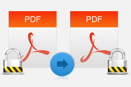 PDF is Password Protected and Cannot Be Exported (Resolved)