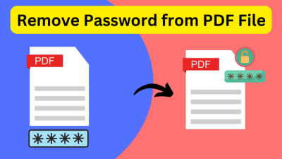 Remove Password from PDF File Using Expert Solution