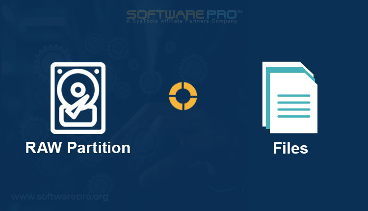 Get Data Back from RAW Partition [Get Solution Here]