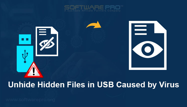 Unhide Hidden Files in USB Drive with Multiple Ways to Show Files